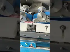 China Efficient Electric Meat Cutting Machine Fast Consistent Fresh Meat Slicer Machine for sale