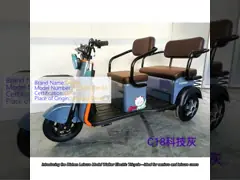 China Leisure Model Walker Electric Power Assisted Tricycle 800W 30-50Km/h for sale