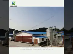 China Steel Metal Frame Prefabricated Steel Structure Chicken Farm Poultry House Cow Barn Shed Broiler Layer Chicken House for sale