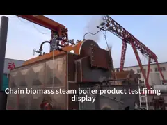 DZL horizontal chain steam boiler