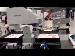 Automatische voedings- en vormmachines voor automobielonderdelen