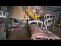 CP180L Multifunctional Palletizing Robot Used Kawasaki Robot With Load 180kg