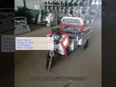 Mobile Tricycle Van Load King 1.8m Adults Hauling Goods