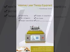China 980nm Diode Laser Device for Animal Care and Veterinary Physical Therapy Vet Dental Clinic Use Machine for sale