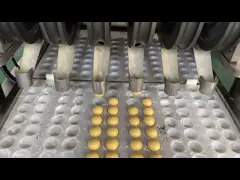 6 rows ball machine
