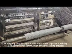 Acciaio inossidabile galvanizzato Griglia esagonale di gabione resistente all'erosione per la protezione