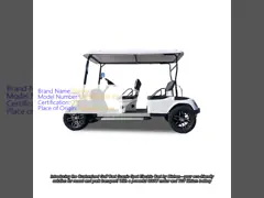 Cina Carrello da golf personalizzato Carrello elettrico a punti panoramici in vendita