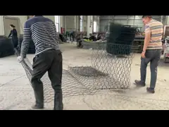 Hot Dip Galvanized Gabion Planter 6x2x1m with 50x50mm Mesh