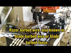 China Anti Climb Hot Dipped Galvanized Concertina Barbed Wire For Fence coil razor for sale