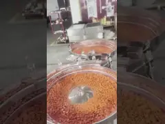 Double Vibration Disc Multi-grain Back Seal Packaging Machine