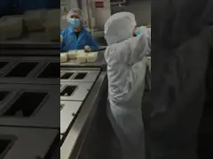 China Energy Efficient Tofu Map Sealing Machine Tray Sealer Packaging Machine for sale