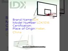 Cina Movable Basketball Hoop With SMC Backboard Metal Frame Basketball Stand For Adults in vendita