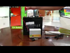 China Intelligent AGM GEL Battery Charger AC150V Input Low Voltage Protection 12V 10A for sale