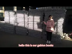 China 80x100mm Low Carbon Steel Zinc Plated Wire Mesh Gabion Basket 2x1x1 Size Ring Connect Fence for sale