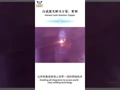 RS Series - Ring and Spot Laser Welding Machine - ECO Type