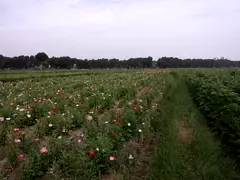 M6A PRO AG ドローン