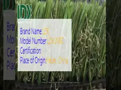 China Professional Soccer Turf 25mm High Performance Artificial Grass For Football Fields for sale