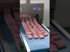 GS4 Roll Meat Slicing Slicer Machine