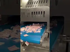 China Industrial Stainless Steel EPS-GS500K Frozen Meat Cutter Heavy-Duty Solutions For Meat Processing for sale