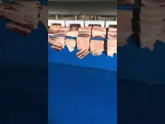 Commerciële snijmachines Automatische verse hoog efficiënte vlees snijmachine met CNC-besturing