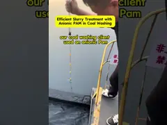 China Polymer Polyelectrolyte Flocculant For Mineral Processing Coal Washing Sand Washing Sedimentation Or Centrifugation for sale