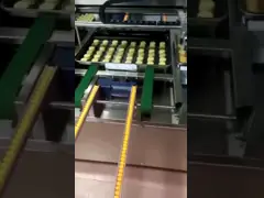 China Stainless Steel Accessory Machine 5-8 Tray/Mins Automatic Egg Brushing Machine for sale