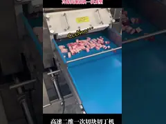 EPS500K Stainless steel Meat cutting machine