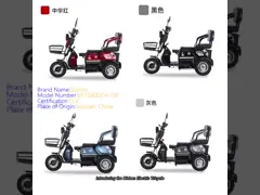 China Small Household Passenger Leisure Electric Tricycle Women Pick Up And Drop Off for sale