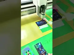 PET Cutting