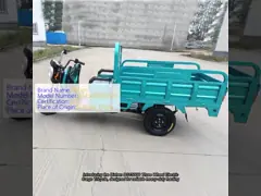 Three Wheel Electric Cargo Electric Tricycle for Adults