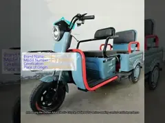 Adult electric tricycle for home use and leisure for the elderly