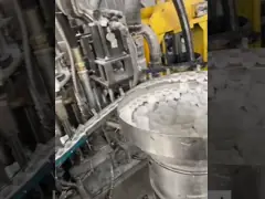 RTV Silicone sealant