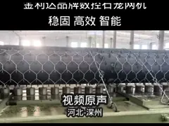 Top-Quality Gabion Machine Manufacturer | 27 Years Experience | JinLiDa Hexagonal Net Production Lin