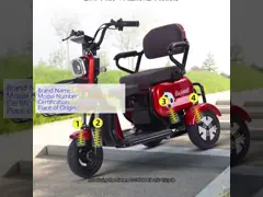Electric tricycle dual-purpose adult loading pick-up and delivery of children