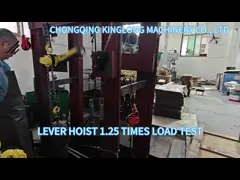 LEVER HOIST 1.25 TIMES LOAD TEST
