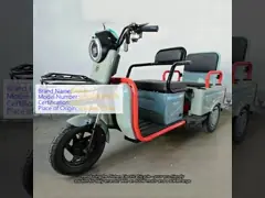 Electric tricycle for home use