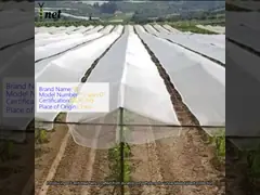 China Anti Hail Nets for Apple Tree Agriculture Anti Hail Net Anti-hail Net With Pillars for sale