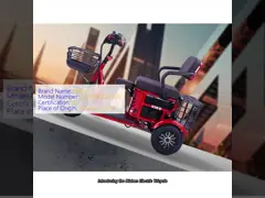 China Children Adult Mini Leisure Electric Tricycle Household Pick Up And Drop Off for sale