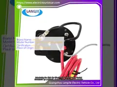 Cina Pioniere dell'auto elettrica per turismo Socket Club Car Scenic Area Car Charger Socket Componente in vendita
