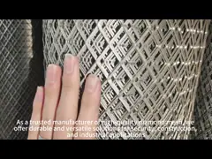 Pour la protection, une maille métallique élargie en plastique pulvérisée