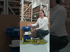 China Válvula de control neumática Spirax Sarco SP7 con actuador lineal en venta