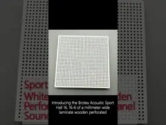 Sport Hall 16/16/6mm White Laminate Wooden Perforated Acoustic Panel Soundproofing Board