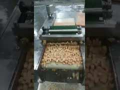 China CNC Type Frozen Meat Dicer Machine For Chicken Breast Pork Beef 4KW for sale