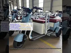 4 Passenger Electric Tricycle Electric Tuk Tuk for Sale in Kenya
