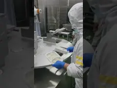 China Map Automatic Plastic Container Sealing Machine Tray Packing Machine for sale