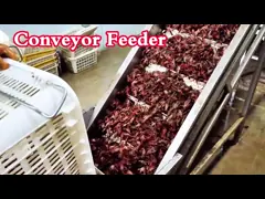 αυτοματοποιημένη γραμμή παραγωγής τηγανίτησης για καρχαρίες