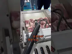 China 220V Frozen Meat Block Cutter With Conveyor For Automated Meat Portioning for sale