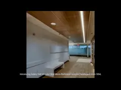 China Gallary Hall Wooden Wall Micro Perforated Acoustic Panel Board 2mm OEM for sale