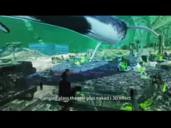 China 3d Hd Immersive Viewing Led Display Screen Hanging Glass Hologram Cinema for sale