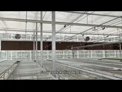 China Nursery Seed Grow Bed Commercial Mesh Grow Table Rolling Benches For Greenhouse for sale